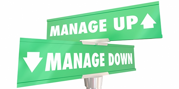 Managing Up and Down the Organization - Project Management Articles ...